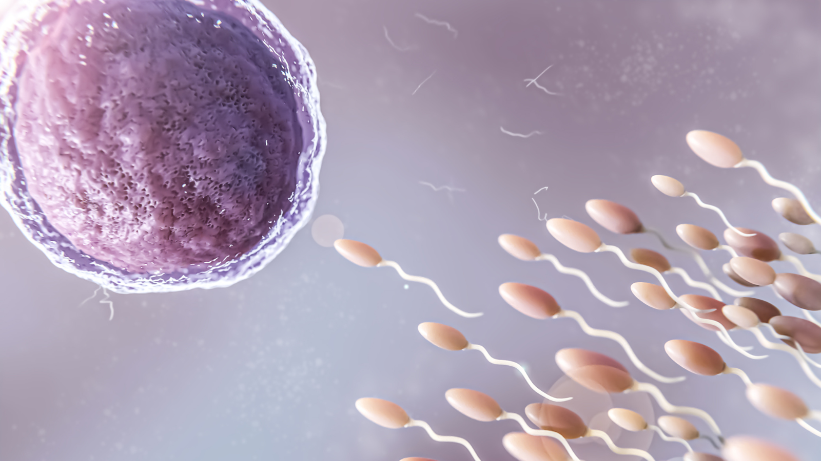 Understanding Infertility: Types, Symptoms, Causes, Treatment and ...